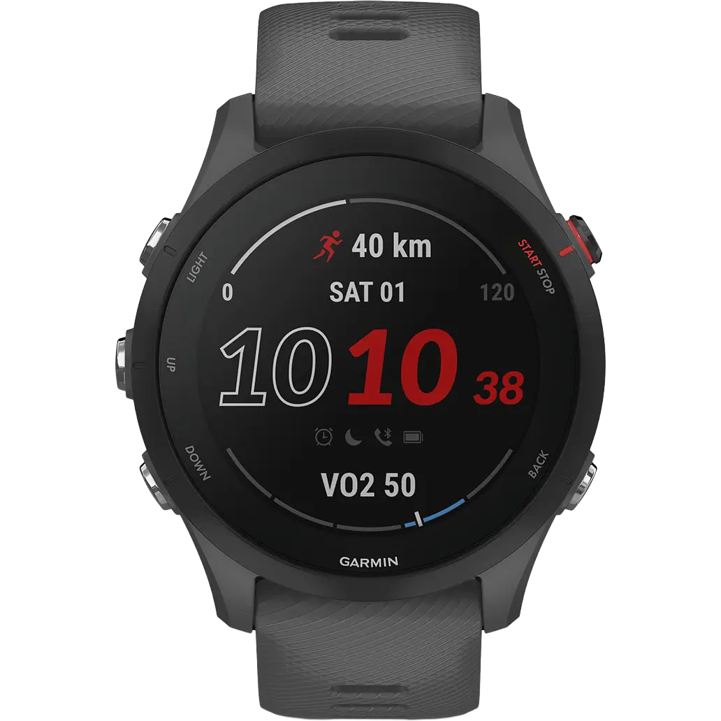 Forerunner 255 Basic - Slate Grey